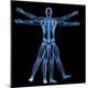 'Vitruvian Man Skeleton' Photographic Print | Art.com