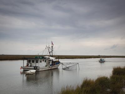 'USA, Louisiana, Dulac, Bayou Fishing Boat by Lake Boudreaux ...