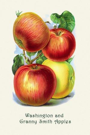 'Washington and Granny Smith Apples' Art Print | Art.com