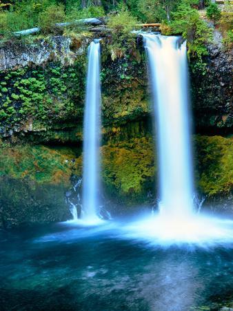 'Water falling into a river, Koosah Falls, Mackenzie River, Willamette ...