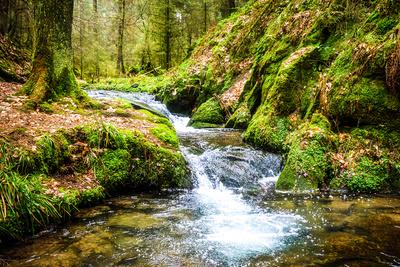'Waterfall Green Forest River Stream Landscape' Photographic Print ...