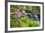 'Waterfall with Ferns and Azaleas at Azalea Path Arboretum and ...