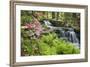 'Waterfall with Ferns and Azaleas at Azalea Path Arboretum and ...