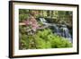 'Waterfall with Ferns and Azaleas at Azalea Path Arboretum and ...