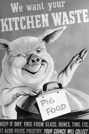 'We Want Your Kitchen Waste Poster' Giclee Print | Art.com