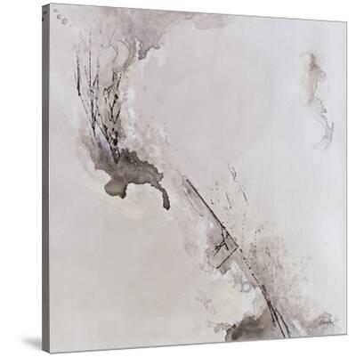 'Whispers IV' Stretched Canvas Print - John Douglas | Art.com