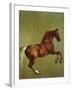 'Whistlejacket, 1762' Giclee Print - George Stubbs | Art.com
