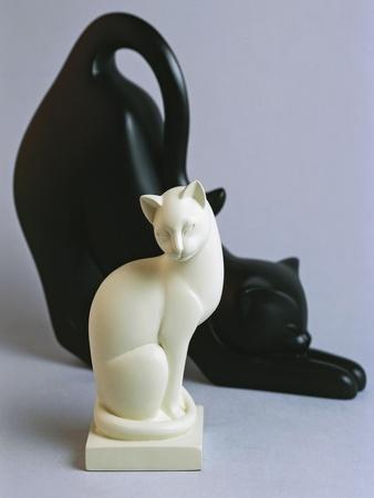 'White Cat and Black Cat, England' Giclee Print | Art.com