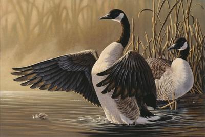 '1994 Canada Geese' Giclee Print - Wilhelm Goebel | Art.com