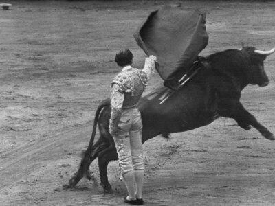 'Bull Fighter Manolete Raising His Cape as Bull Charges Past Him in ...