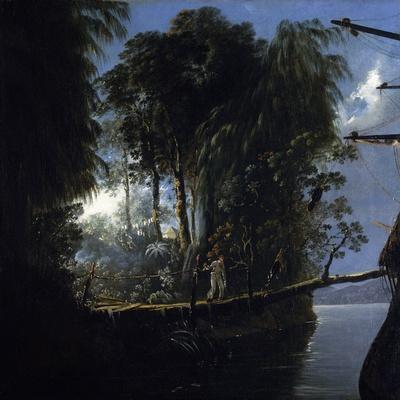 'Pickersgill Harbor, Dusky Bay (New Zealand, New Zealand)' Giclee Print ...