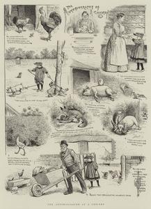 Pigs Art for Sale: Prints, Paintings, Posters & Framed Wall Artwork ...