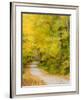 'Wind Blurs the Fall Colors Along Kelly Stand Road, Vermont, Usa ...