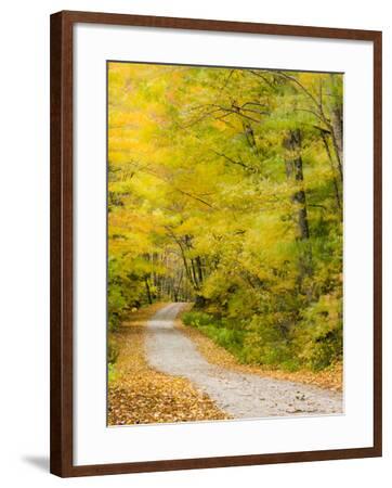 'Wind Blurs the Fall Colors Along Kelly Stand Road, Vermont, Usa ...