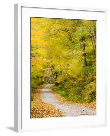 'Wind Blurs the Fall Colors Along Kelly Stand Road, Vermont, Usa ...