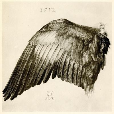 'Wing of a Blue Roller' Giclee Print - Albrecht Dürer or Duerer | Art.com