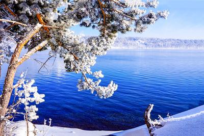 Winter Snow Forest Lake Water View. Winter Lake Water View. Winter Snow ...