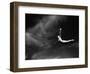'Woman Performing Swan Dive' Photographic Print - Bettmann | Art.com