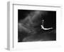 'Woman Performing Swan Dive' Photographic Print - Bettmann | Art.com