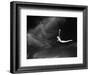 'Woman Performing Swan Dive' Photographic Print - Bettmann | Art.com