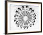 'Women Lying in Circle around Beach Ball' Photo | Art.com