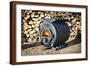 'Wood Burning Stove' Photographic Print - Paul Biddle | Art.com