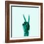 'X-Ray of Hand Doing Peace Sign' Photographic Print | Art.com