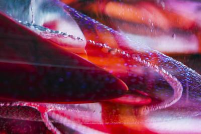 Colorful background. Photographic Print - Zandria Muench Beraldo | Art.com