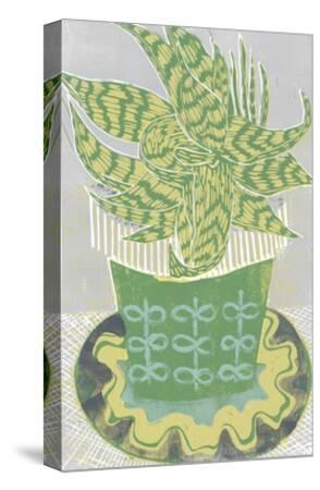 'Aloe Vera' Stretched Canvas Print - Zoe Badger | Art.com
